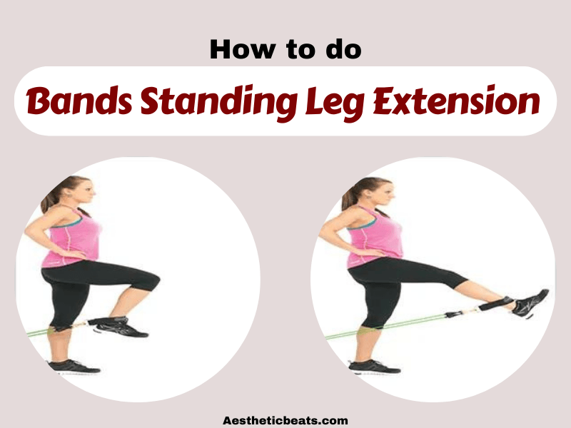 Bands Standing Leg Extension - Legs exercise - aestheticbeats