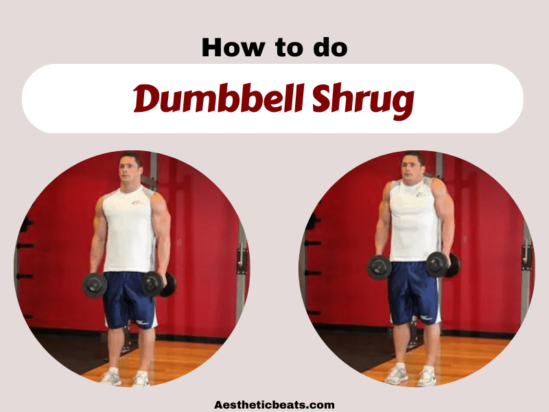 Dumbbell Shrug - Traps exercise - aestheticbeats