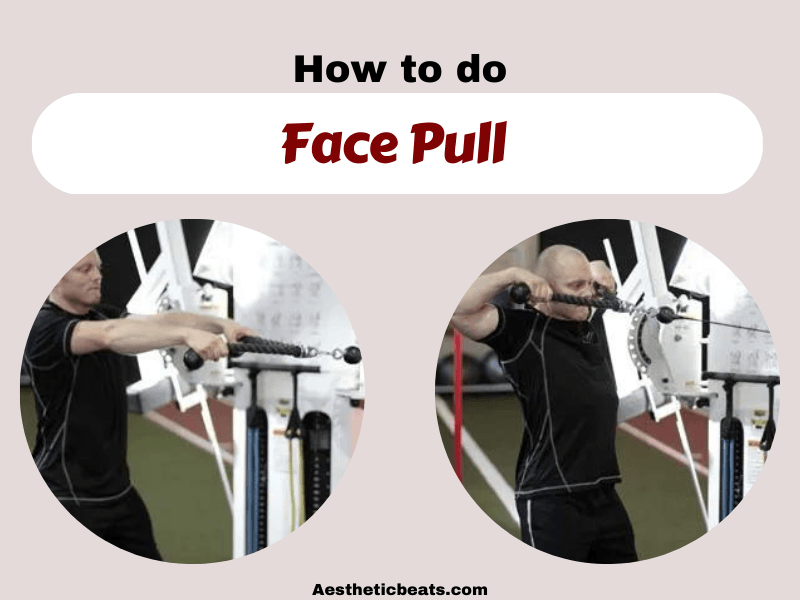 Face Pull - Shoulders exercise - aestheticbeats