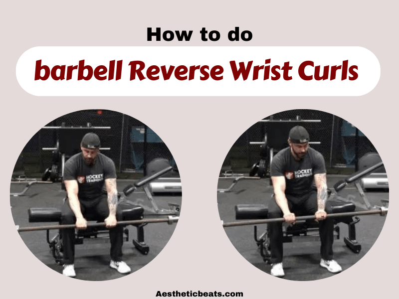 barbell Reverse Wrist Curls - forearms exercise - aestheticbeats